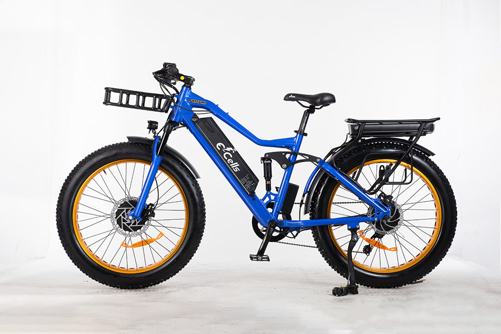 Wide Range of Application, Dual battery electric bike- ESHION